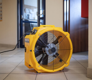 Professional Fan | DFX 20 | Master Heaters